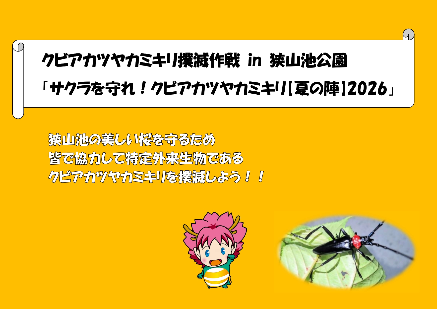 クビアカツヤカミキリ撲滅作戦in狭山池公園とサクラを守れ！クビアカツヤカミキリ【夏の陣】2026を連携して開催します。／大阪狭山市ホームページ